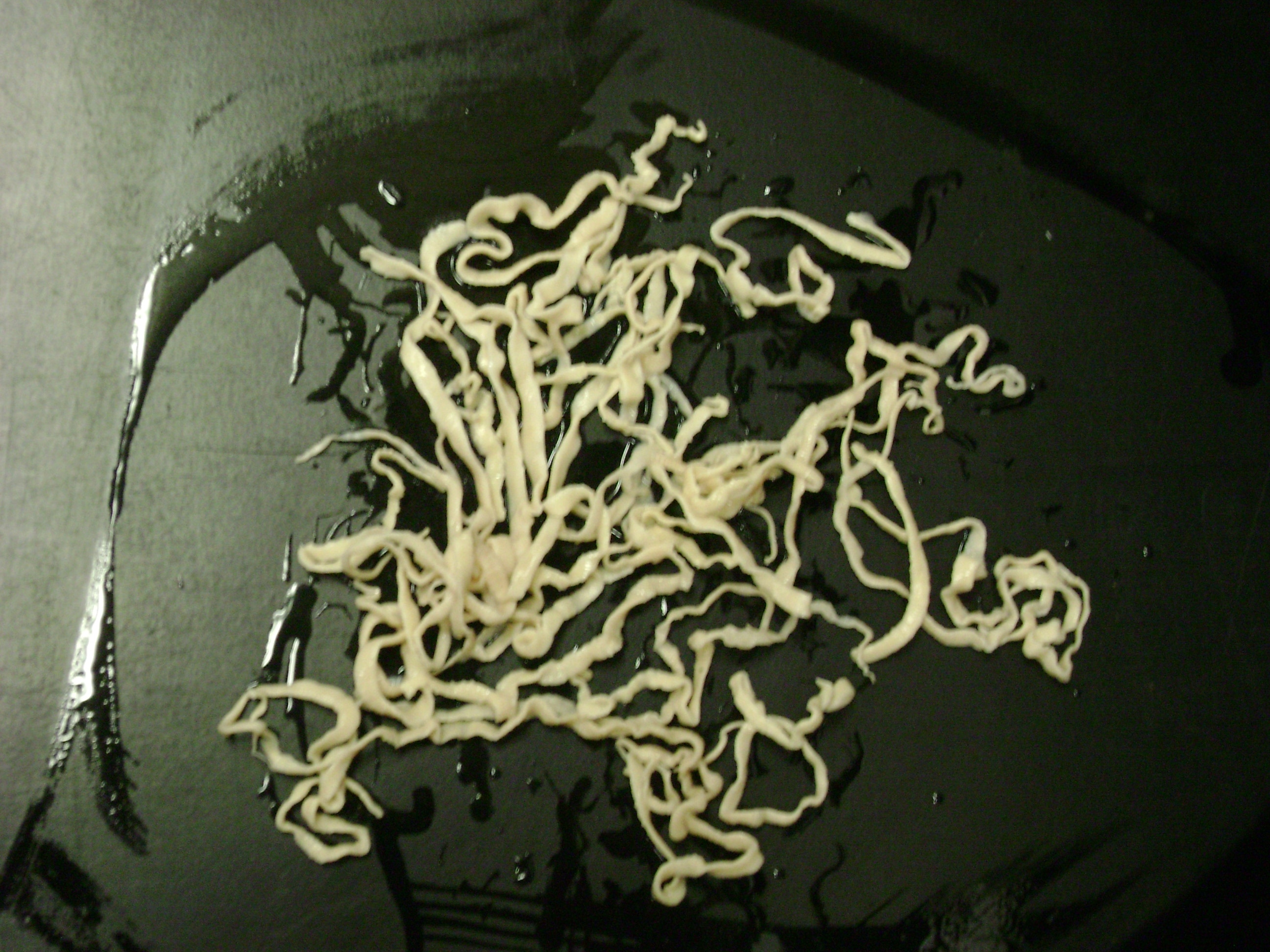 Lombriz solitaria o solitaria parásito: Características, tratamiento y más